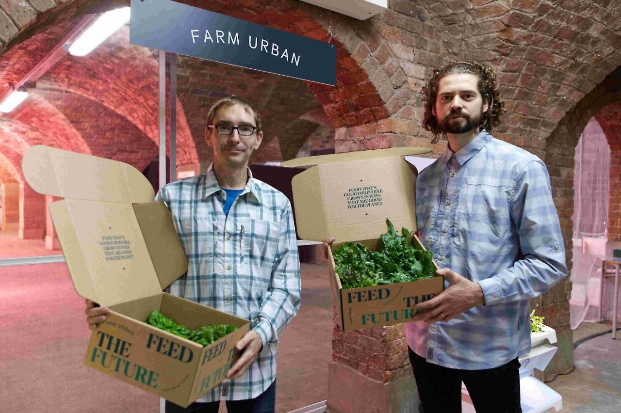 Clean air pioneers provide city with food for thought | Let's Clear The ...